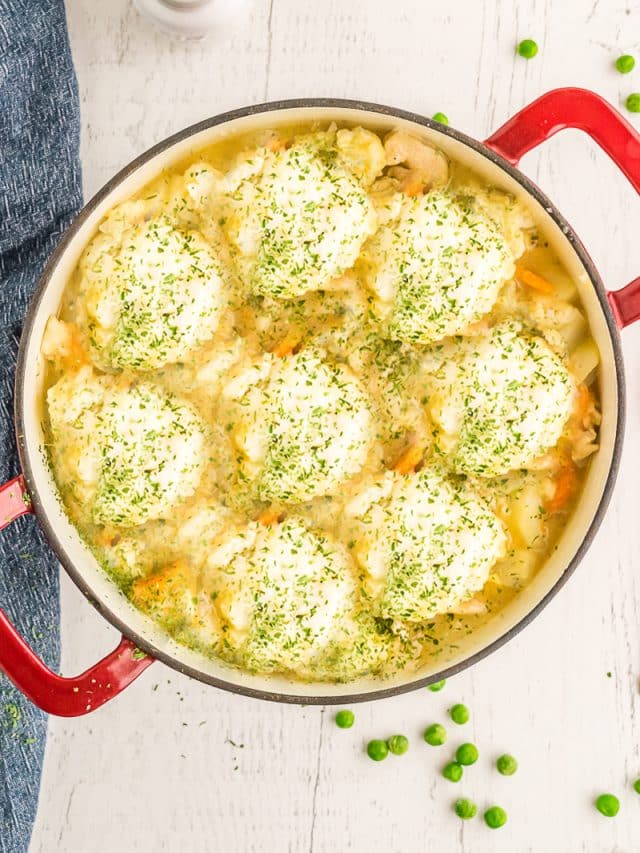 One Pot Chicken & Dumplings (Easy 30 Min Recipe) » Persnickety Plates