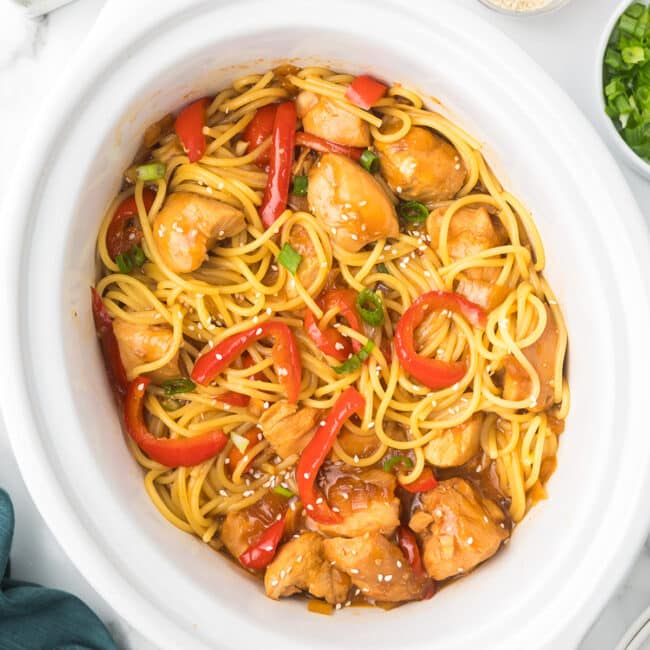 Crocktober Recipes - 31 days of slow cooker recipes