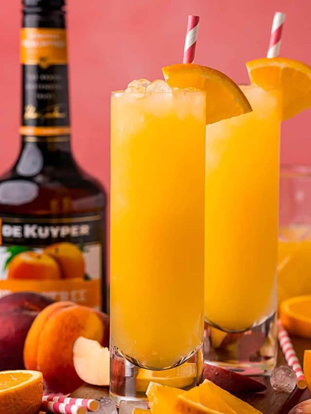 Easy Fuzzy Navel Summer Cocktail » Persnickety Plates