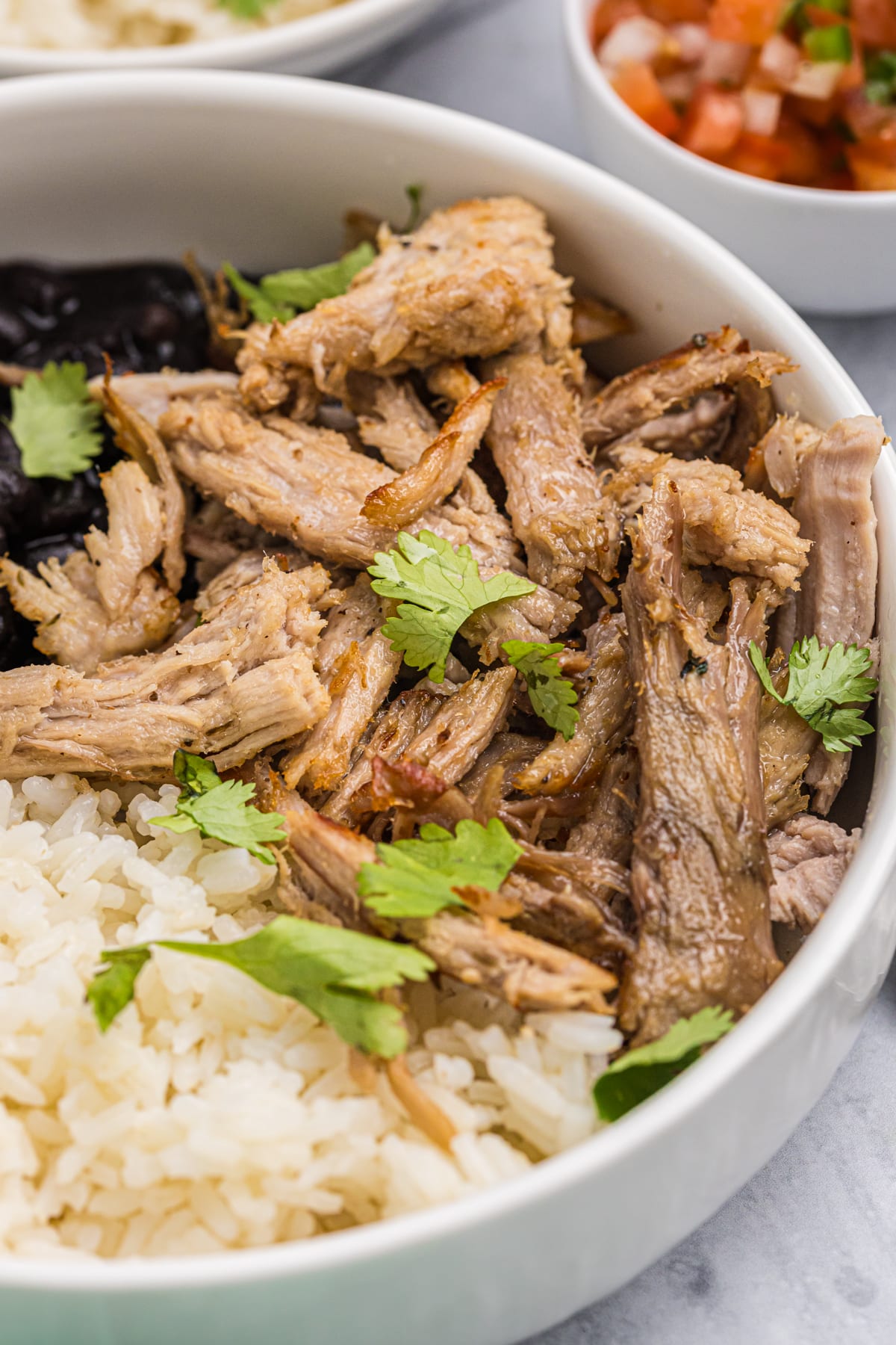Slow Cooker Carnitas - Chipotle Copycat
