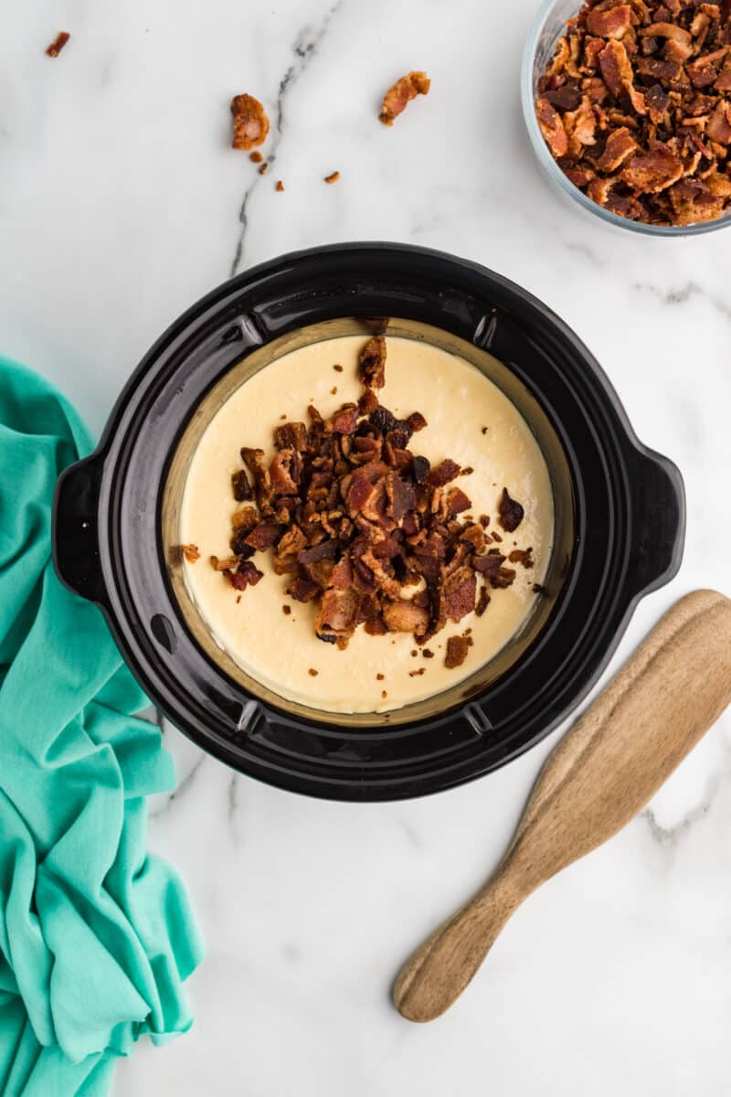 Slow Cooker Bacon and Cheese Dip